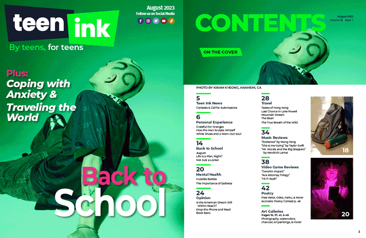 Digital Magazine Issue | Teen Ink